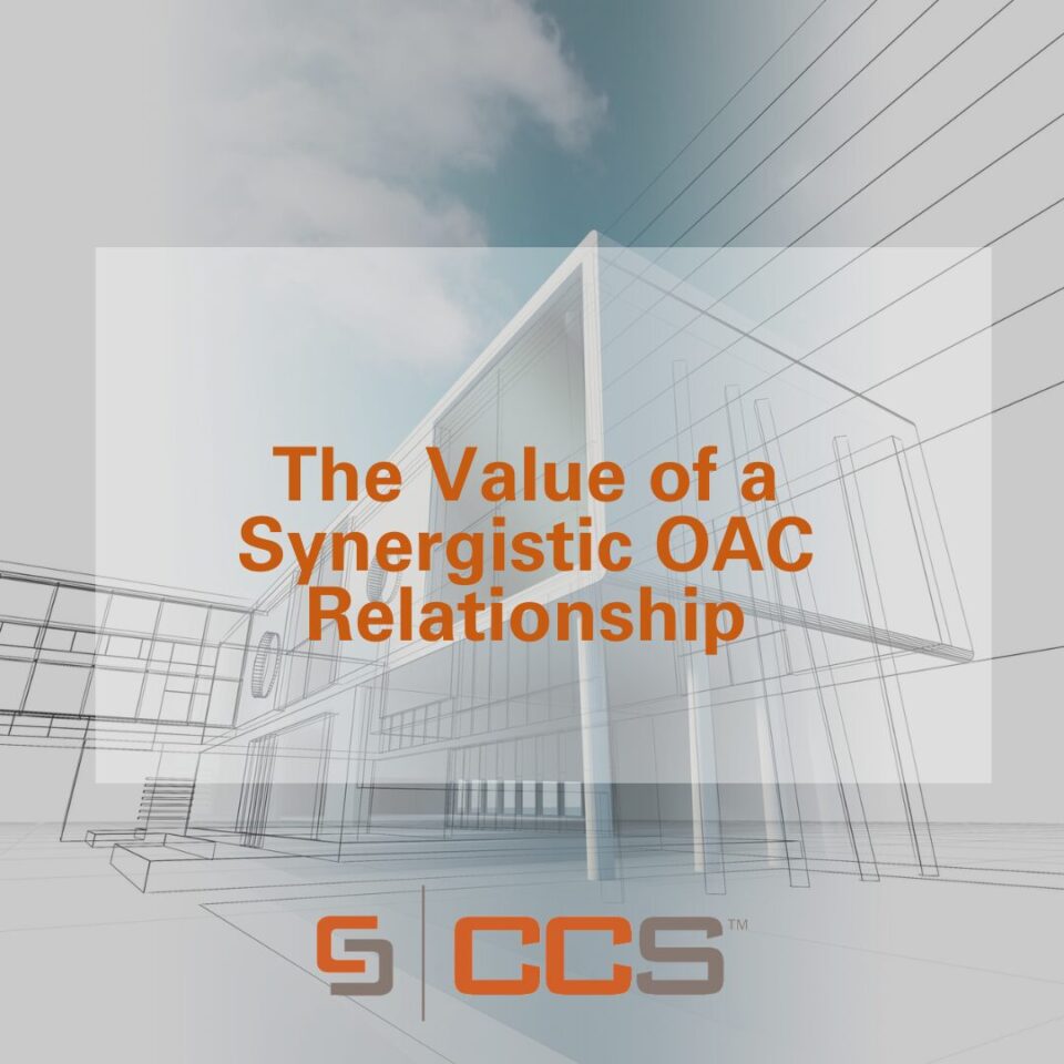 The Power of Partnership: The Synergistic Relationship Between Client ...